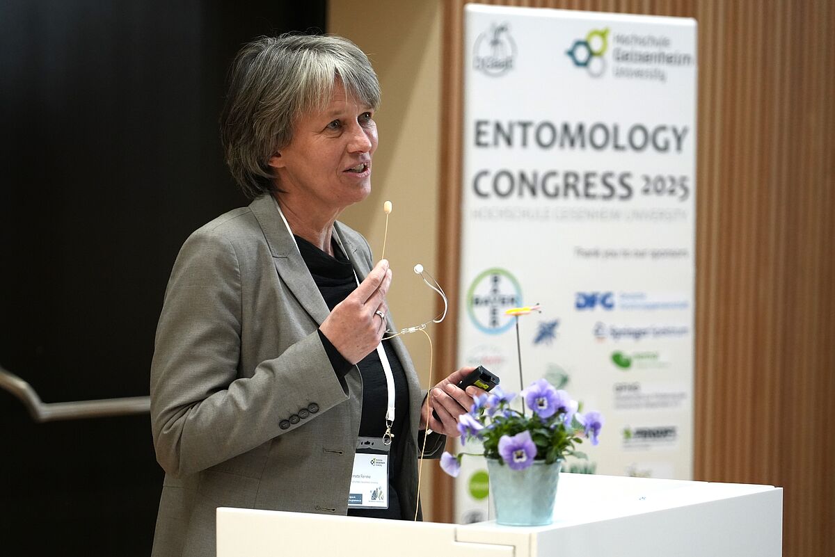 Combating Pests and Insect Decline: International Entomology Conference ...