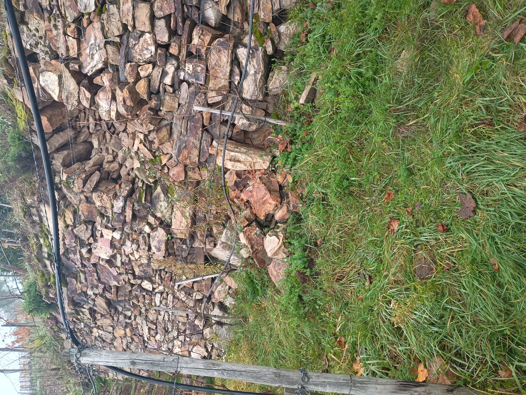 Dry-Stone Wall Course Takes Place in the ‘Krähennest’